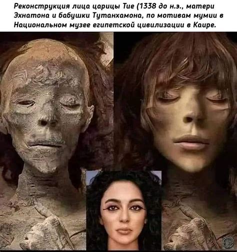 Древние цивилизации On Twitter