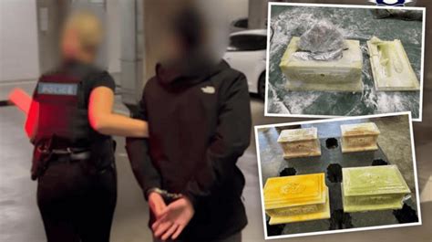 西澳破获大型跨国走私运毒案！17岁中国小伙被抓！珀斯和澳洲毒品