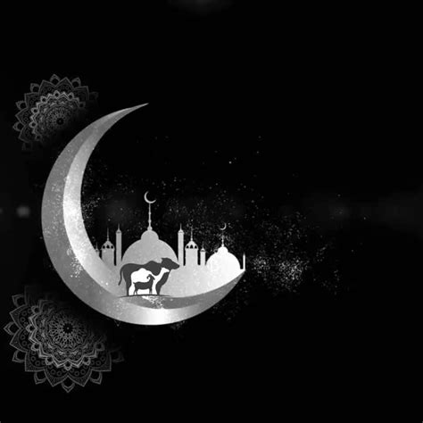 Manahil Arif Posted On Linkedin