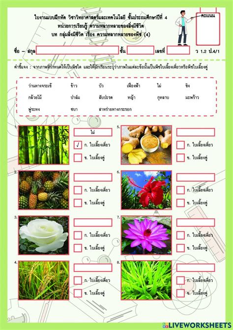 ใบงาน วิชาวิทยาศาสตร์ เรื่อง สิ่งมีชีวิตรอบตัว ป 4 Worksheet วิทยาศาสตร์ ป 4 แบบฝึกหัดสำหรับ