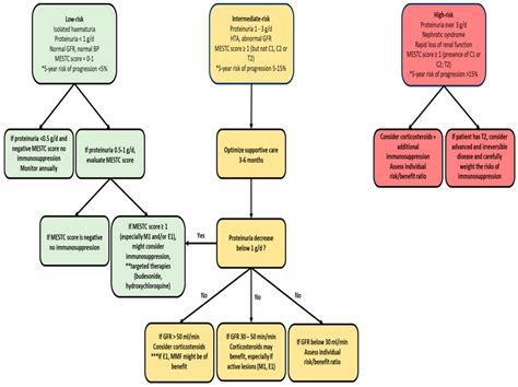 Proposed Treatment Algorithm For Iga Nephropathy Adapted According To Download Scientific