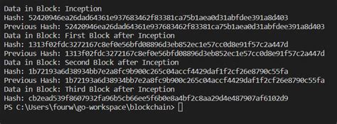 How To Create A Blockchain With Go A Step By Step Guide Alexablockchain