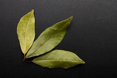 신선한 월계수는 텍스트에 대한 깨끗한 장소와 검은 색 테이블 배경에 떠난다 요리의 향신료 건조한에 대한 스톡 사진 및 기타