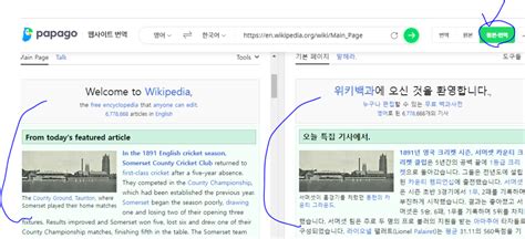 인터넷 브라우저 영어 한글 번역 방법 [네이버 파파고 활용방법] 일체유심조