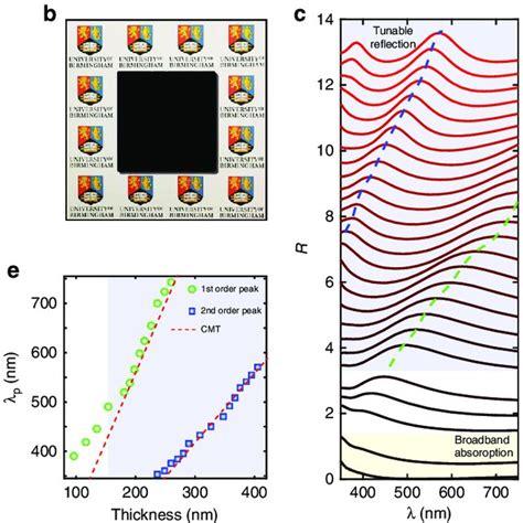Experimental Realisation Of The Disordered Plasmonic System A A Download Scientific Diagram