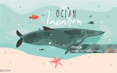 손으로 그린 벡터 추상 만화 여름 시간 그래픽 일러스트 아트 템플릿 배경 바다의 바닥 큰 고래 산호 해 초 및 바다 휴가 인쇄 술 견적 푸른 파도에 고립 고래에 대한 스톡