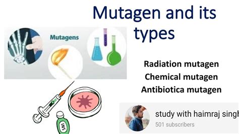 Mutagens Definition Types Physical Chemical OFF