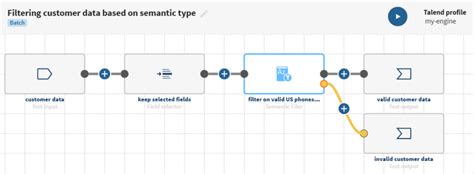 filtering customer data based on valid and invalid semantic types