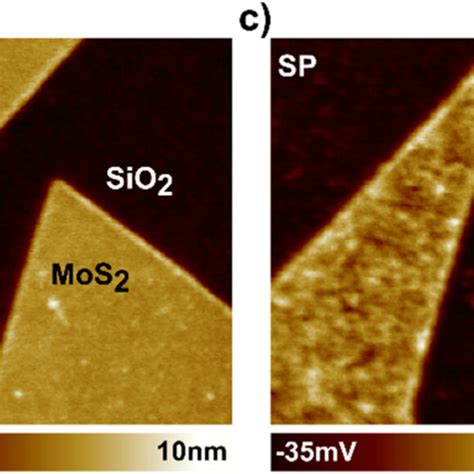 A Scheme Of The Samples Cvd Grown Mos2 Flakes On Sio2 Si And Download Scientific Diagram