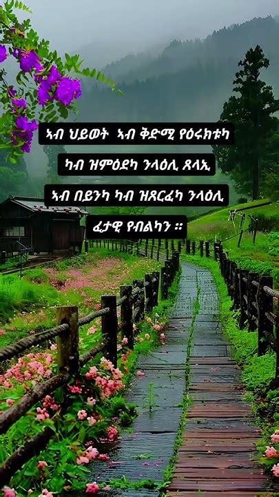 eritrea eritrean habesha eritreanmusic eritreancomedy eritreanmovie eritreanews