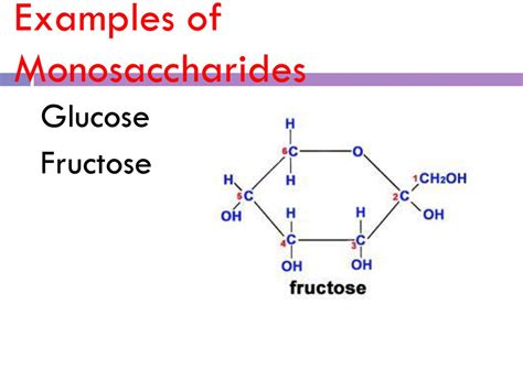 Organic Molecules Ppt Download