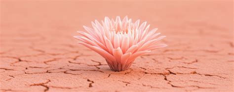 3 Ways To Boost Libido And Love Sex After 40 Dr Anna Cabeca