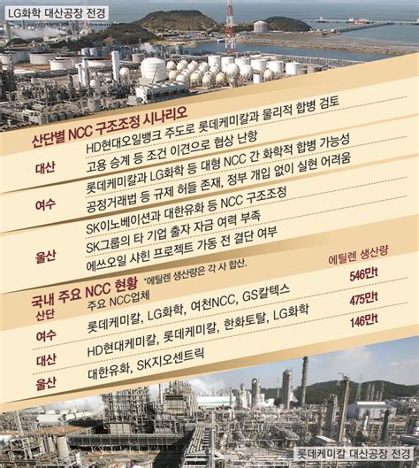 구조조정 폭탄 터지기 직전…벼랑 끝 석유화학 통폐합마저 쉽지 않다는데