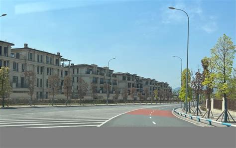 北碚区蔡家岗街道锦林路行道树大面积死亡。 重庆网络问政平台