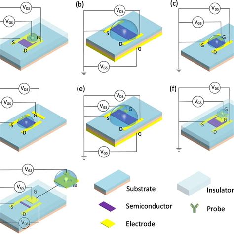 Design Blocks Of Fet Sensors Representative Fet Structures With