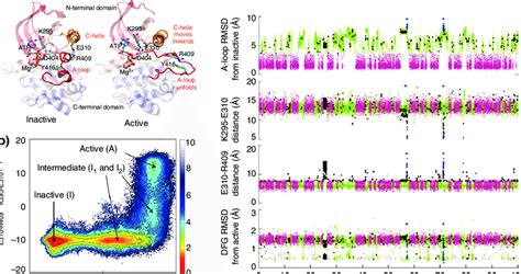 Markov State Model Identifies Key Intermediate States Along
