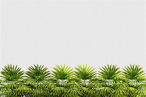 Premium Psd Various Types Of Grass Rendering Isolated