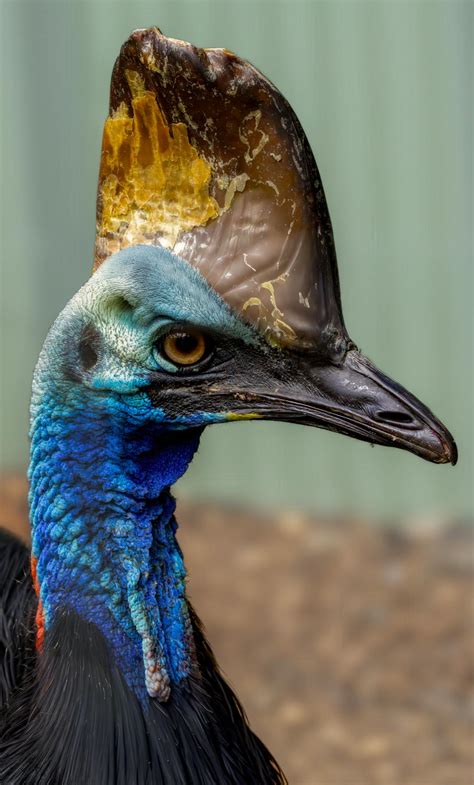 Animegirlsbendingover Photos Download The Best Free Animegirls