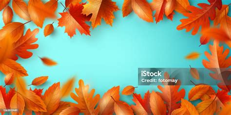 가을 배경 포스터 및 화려한 단풍 나무와 오크 단풍 나무 와 배너 템플릿 가을과 가을 시즌 컨셉의 인사와 선물 벡터 일러스트 배경입니다 및 쇼핑 템플릿 배경 주제에 대한