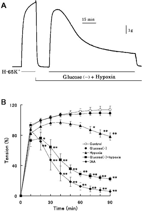 Effects Of Glucose Free Pss Hypoxia Bubbling With N 2 Instead Of O 2