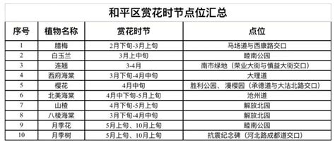 五大道赏花攻略来了玉兰海棠樱花等10种花卉陆续绽放 交口 和平区 天津