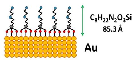 Representation On The Self Assembled Monolayer Of Download