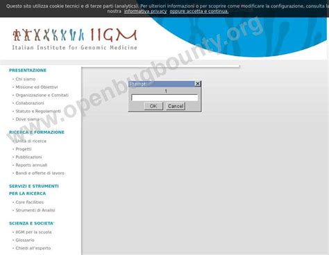 iigm it cross site scripting vulnerability obb 1445969 open bug bounty