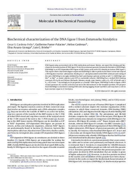 Pdf Biochemical Characterization Of The Dna Ligase I From Entamoeba Histolytica