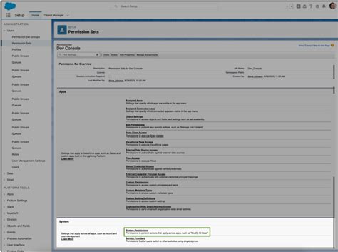 enabling developer console using permission sets for non admin users