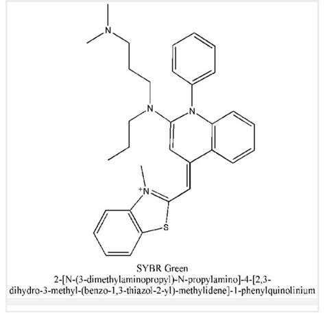 Structure Of Ethidium Bromide Download Scientific Diagram