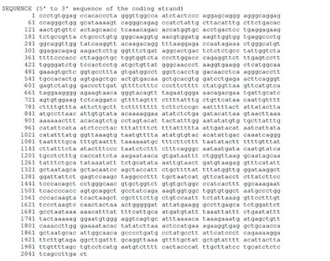 Solved The Structure And Sequence Of The Human Beta Globin