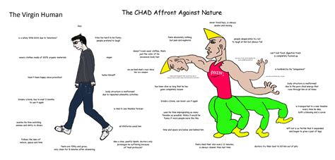 The Virgin Human Vs The Chad Affront Against Nature Rvirginvschad