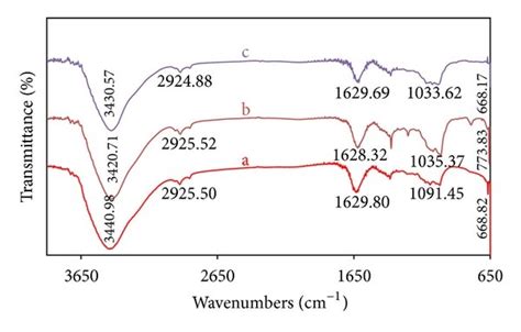 Ft Ir Spectra Of T Conoides Extract A Ag Nps B And Au Nps C
