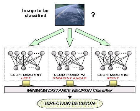 The Classification Phase Of The Csom Model Download Scientific Diagram