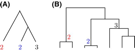 example of a tree shape compatible with a perfect phylogeny a a