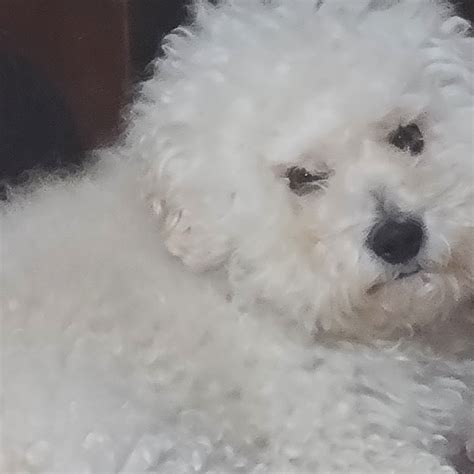 당뇨병 예방을 위한 올바른 식습관과 운동의 중요성 — 귀찮아하는 여러분을 위한 블로그