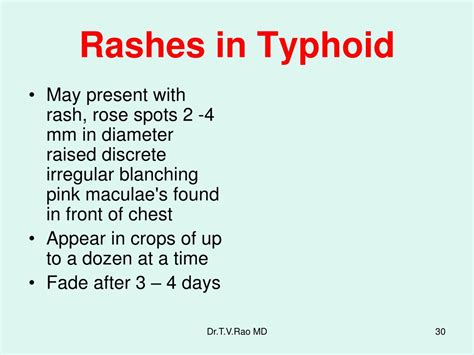 Ppt Salmonella Basics Powerpoint Presentation Free Download Id 262913