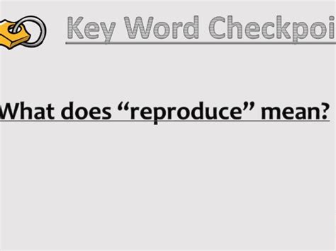 Year 5 Human Life Cycle Teaching Resources