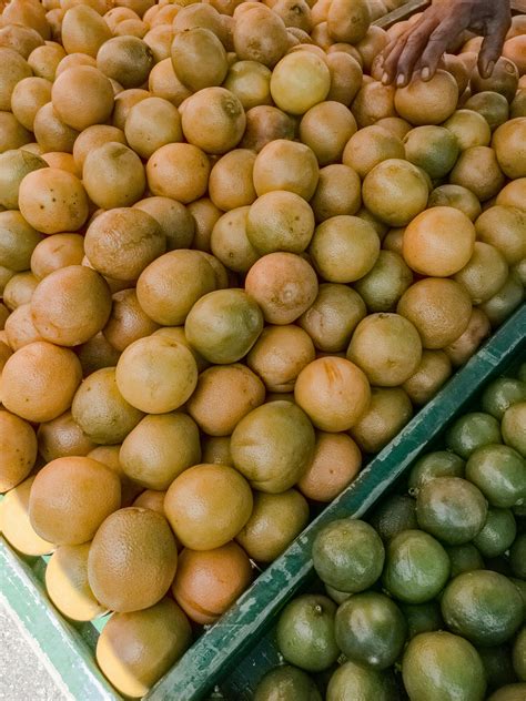 감귤 시장 감귤류 감귤류 선택 건강식품 건강한 생활 건강한 식생활 과일 과일 선택 과일 종류 과즙이 많은 노점 농산물 시장 다채로운 농산물 디스플레이