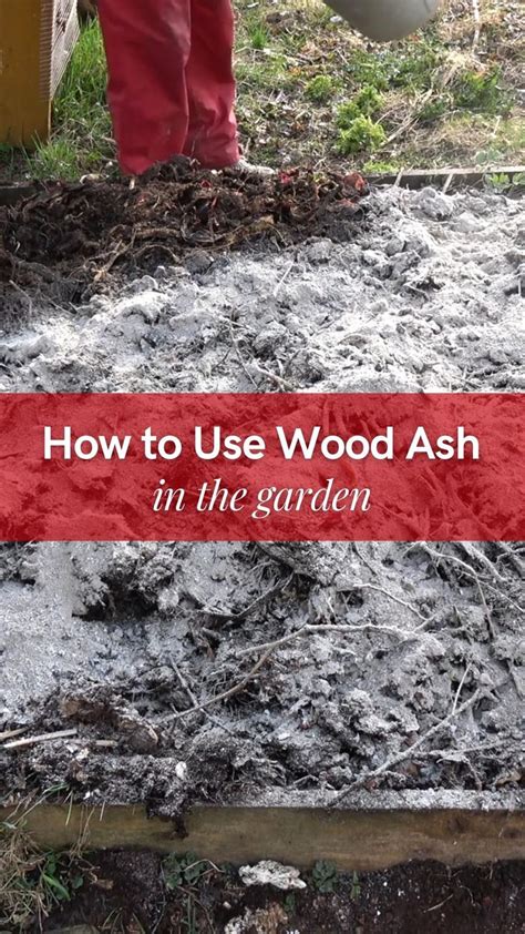 How To Use Wood Ash In The Garden Wood Ash Fertilizer Wood Ash Compost And More Home