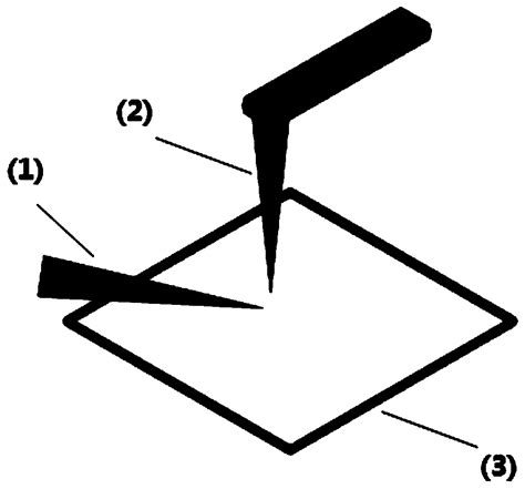Scanning Near Field Optical Microscope For Enhancing Near Field Signal By Free Electron