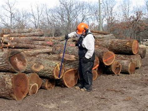 Logrite 36 Scribner Log Scale Northern Woodsmen