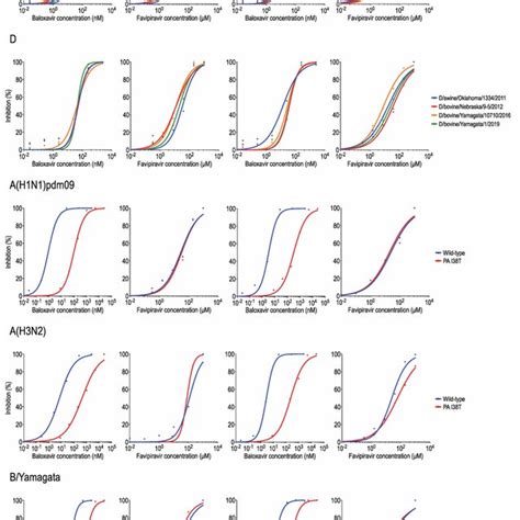 Antiviral Activity Of Rna Polymerase Inhibitors Against Influenza C And