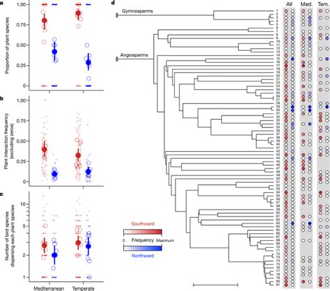 Seed Dispersal Interactions Of Plants With Migratory Birds In Relation Download Scientific