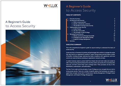 Beginners Guide To Access Security Idency