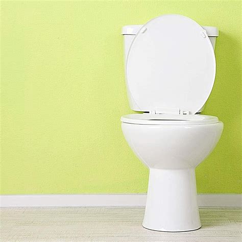 Zep Septic System Review Septic Tank Servicing