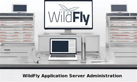 Wildfly Administration Course Mastertheboss