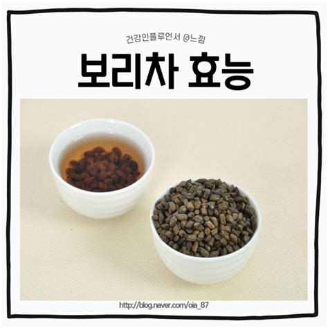 보리차 효능 4가지 알아보기 네이버 블로그