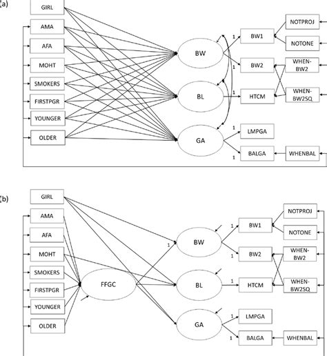 Structural Equation Models From Cebu Analyses Structural Equation Download Scientific Diagram