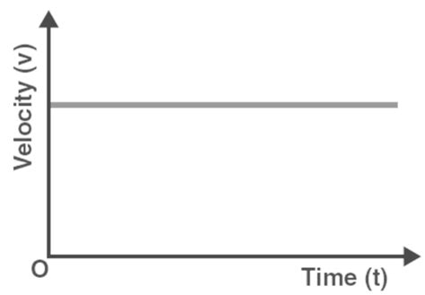 NCERT Solutions Class Science Chapter Motion TheExamPillar NCERT